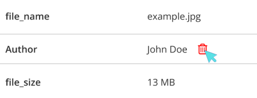 Metadata Remover