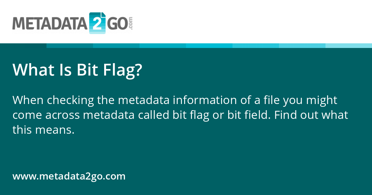 What Is Bit Flag?