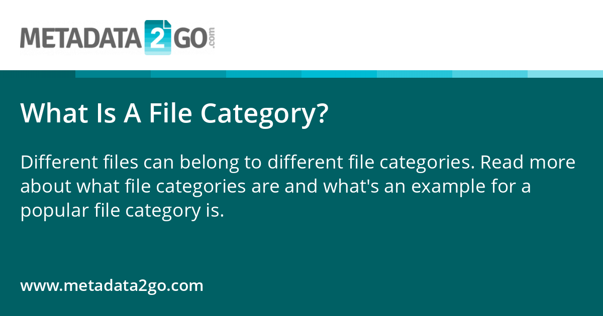What Is A File Category?