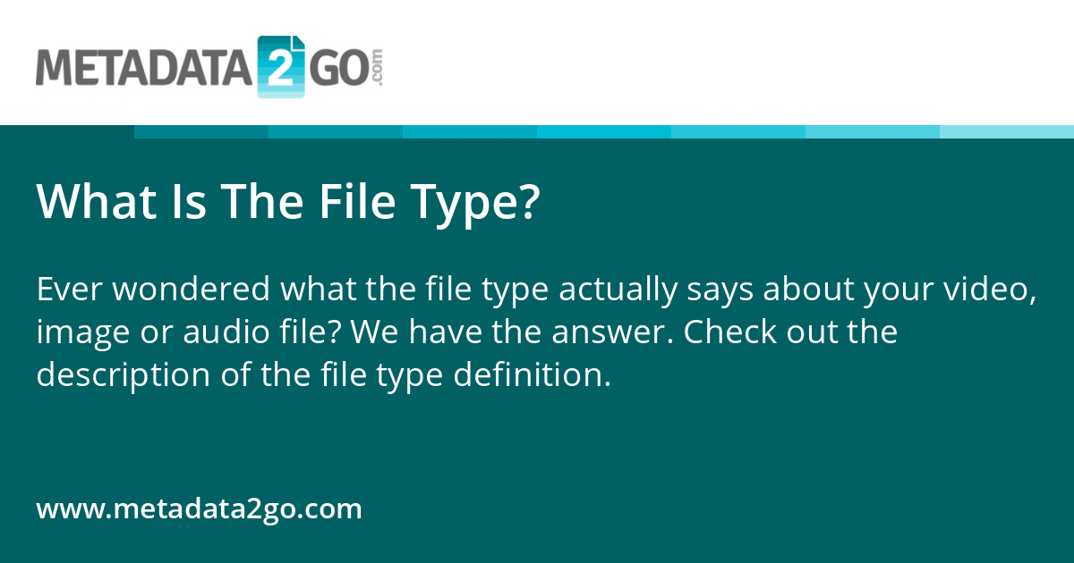 What Is The File Type?