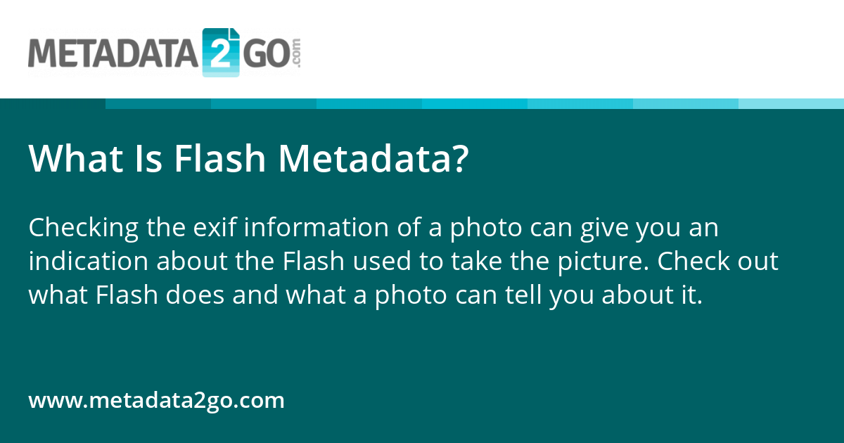 What Is Flash Metadata?
