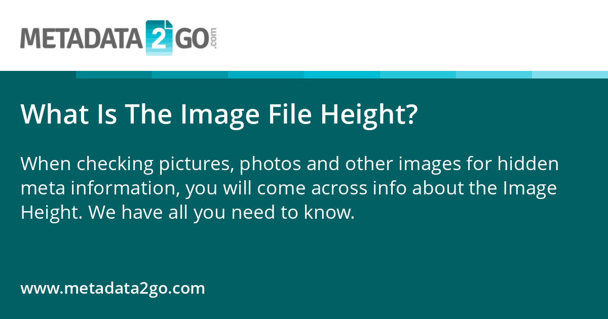 What Is The Image File Height?